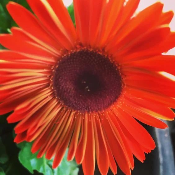 New Prisma 2019 - Part 1 — Bella Moulding Blog