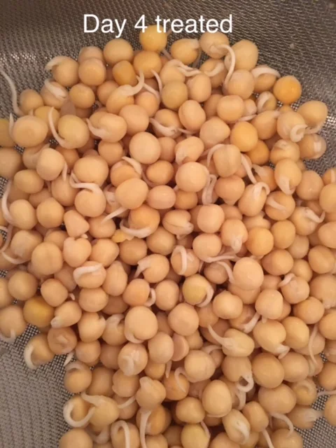 Crop Aid Seed Crop Aid Seed PluS | Crop Aid Nutrition Ltd.