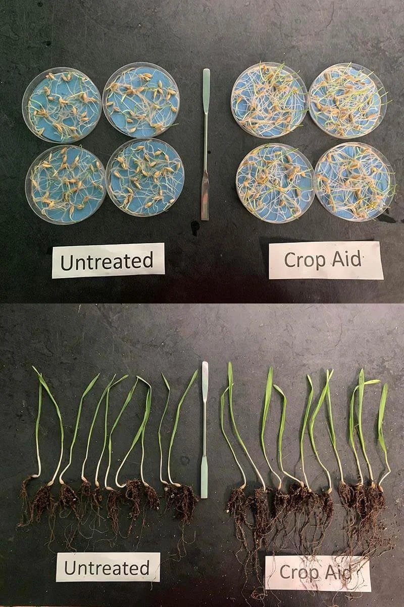 Seed Data | Crop Aid Nutrition Ltd.