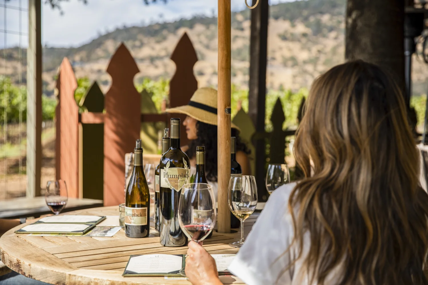 Hispanic Heritage Month | Napa Valley Farmworker Foundation — PlumpJack ...