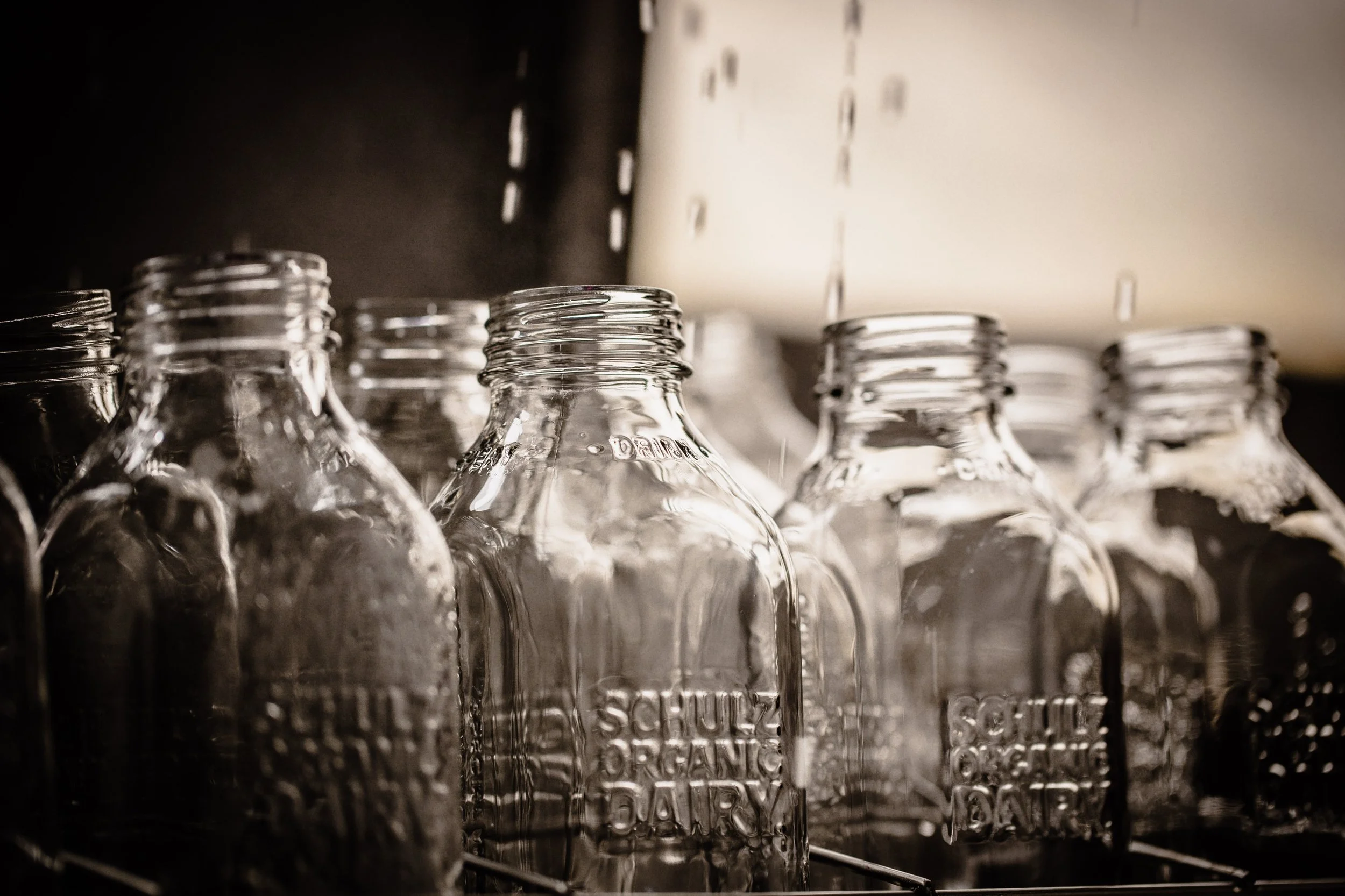 Milk on Tap — Schulz Organic Dairy
