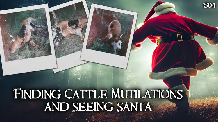 504: Finding Cattle Mutilations and Seeing Santa — The Confessionals