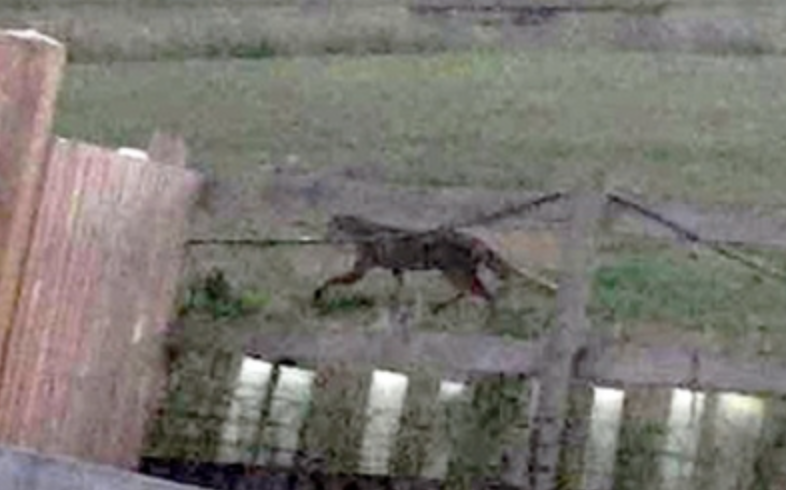 BLOG: 14 Bizarre Photos Reportedly Taken Near Skinwalker Ranch — The ...