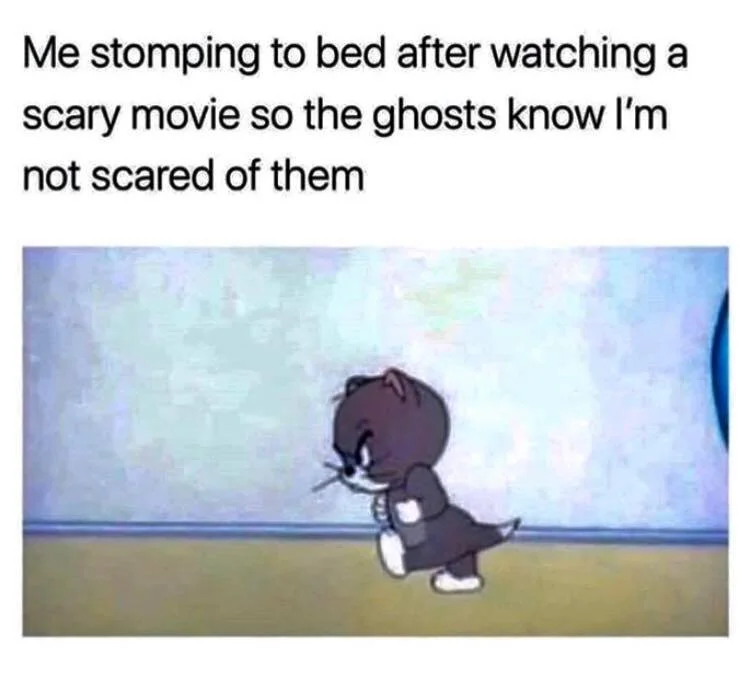 BLOG: 15 Funny Memes to Get in the Spirit of National Paranormal Day ...