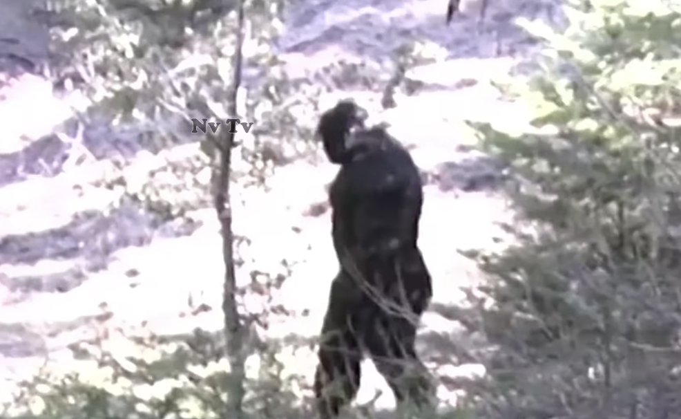 Episodes — The Confessionals