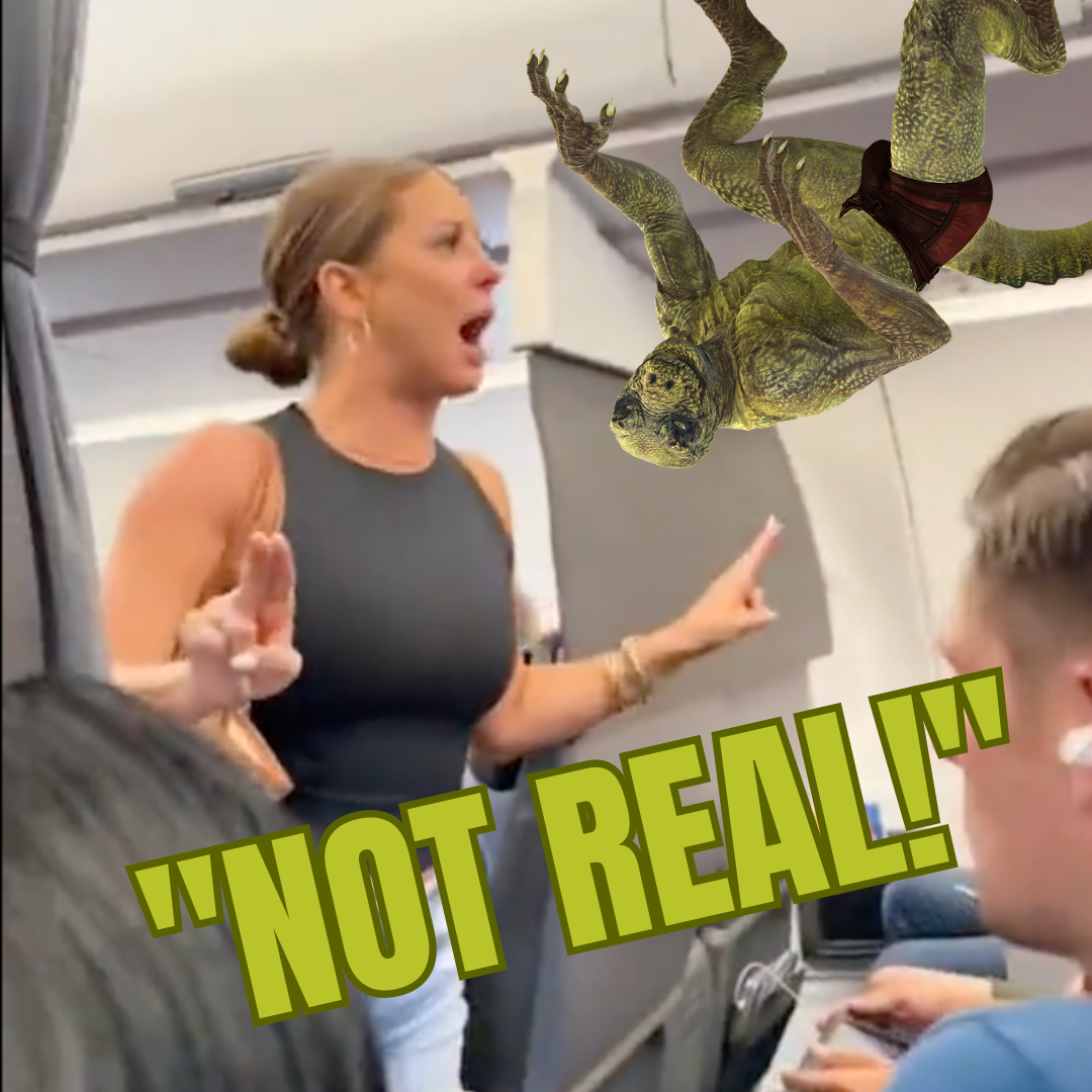 BLOG: A Trip Down the Conspiratorial Rabbit Hole with That Lady on a ...