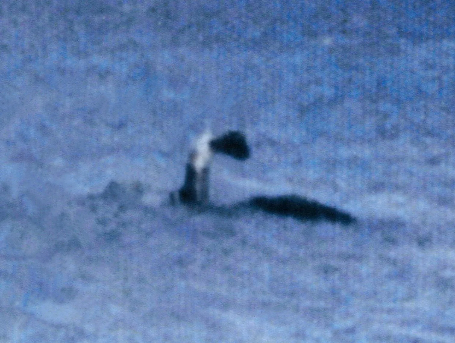 BLOG: Historic North American Sea Serpent Sightings to Explore On ...