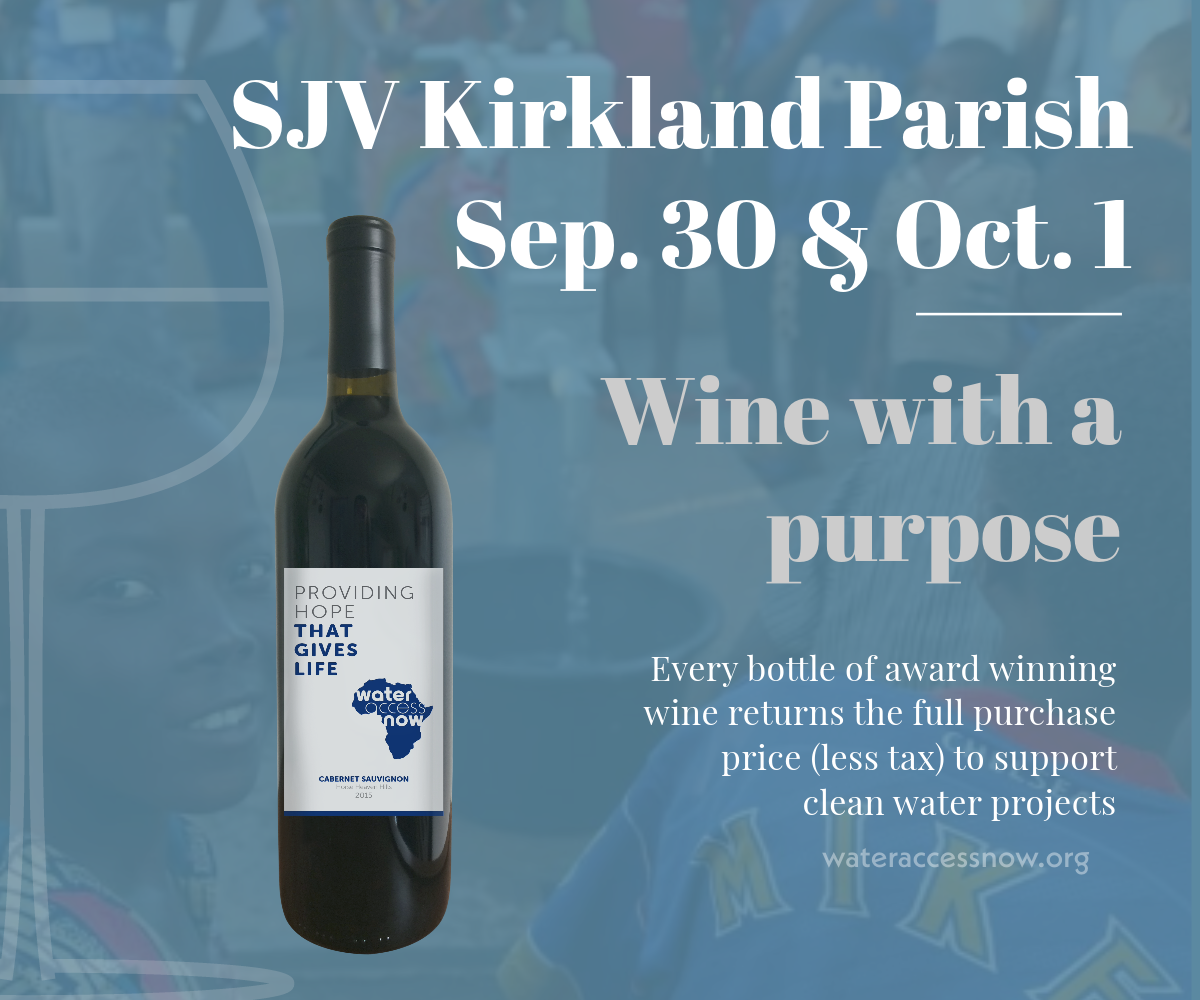 Push to 300 Wells — Water Access Now