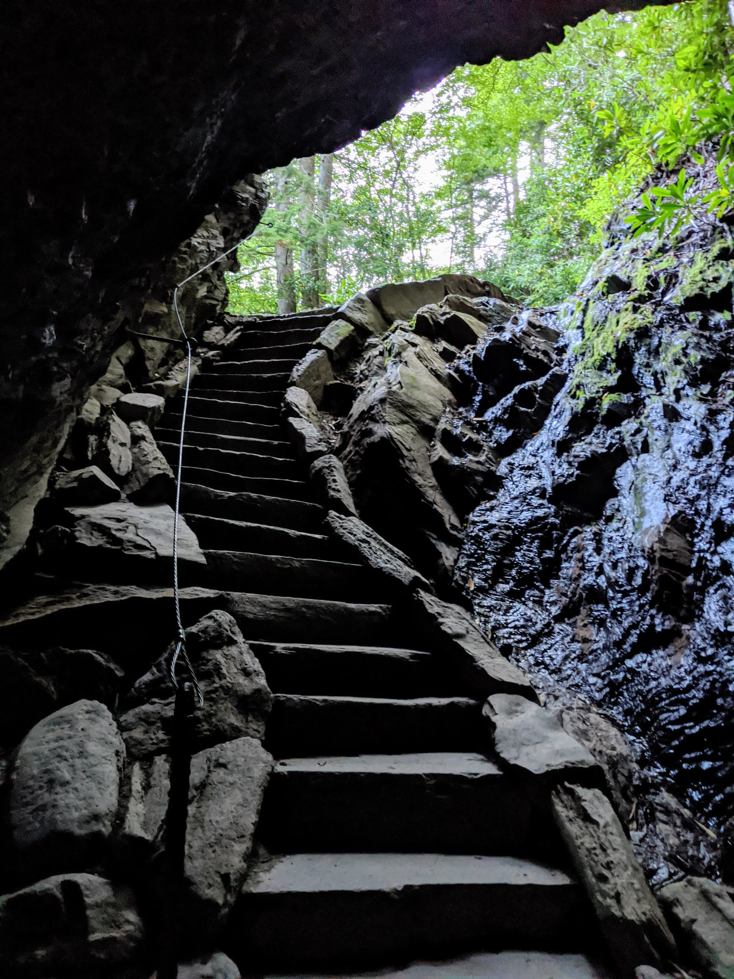 Hiking Alum Cave Trail To Mount LeConte With Kids- Family Hikes In ...
