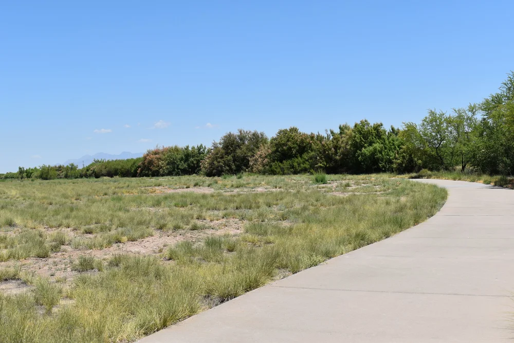 Rio Grande River Trail — El Paso County Parks & Recreation