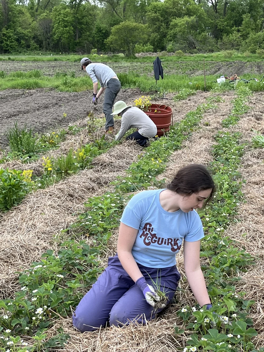 Intervale Community Farm