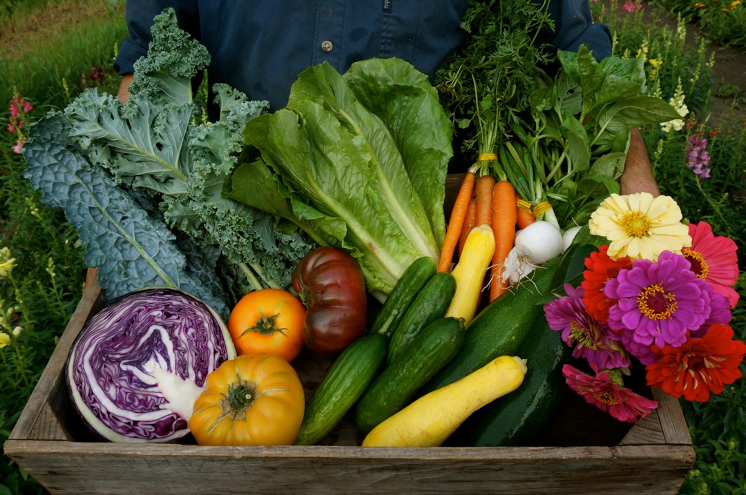 Intervale Community Farm