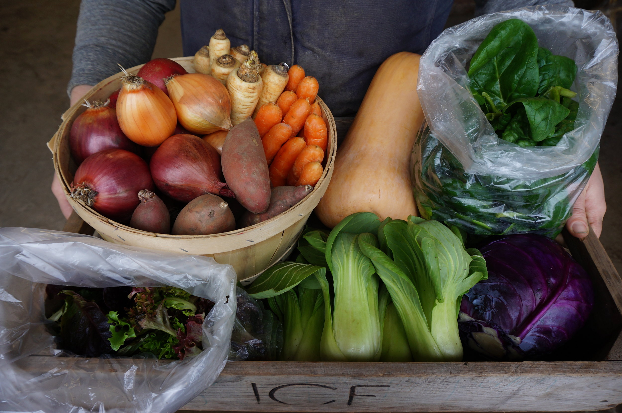 Intervale Community Farm