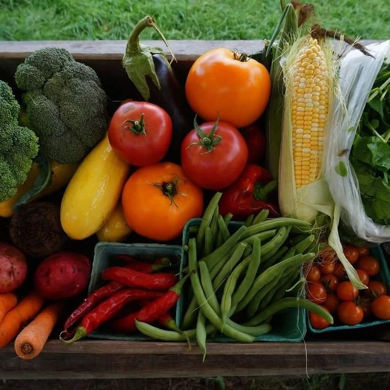 Intervale Community Farm