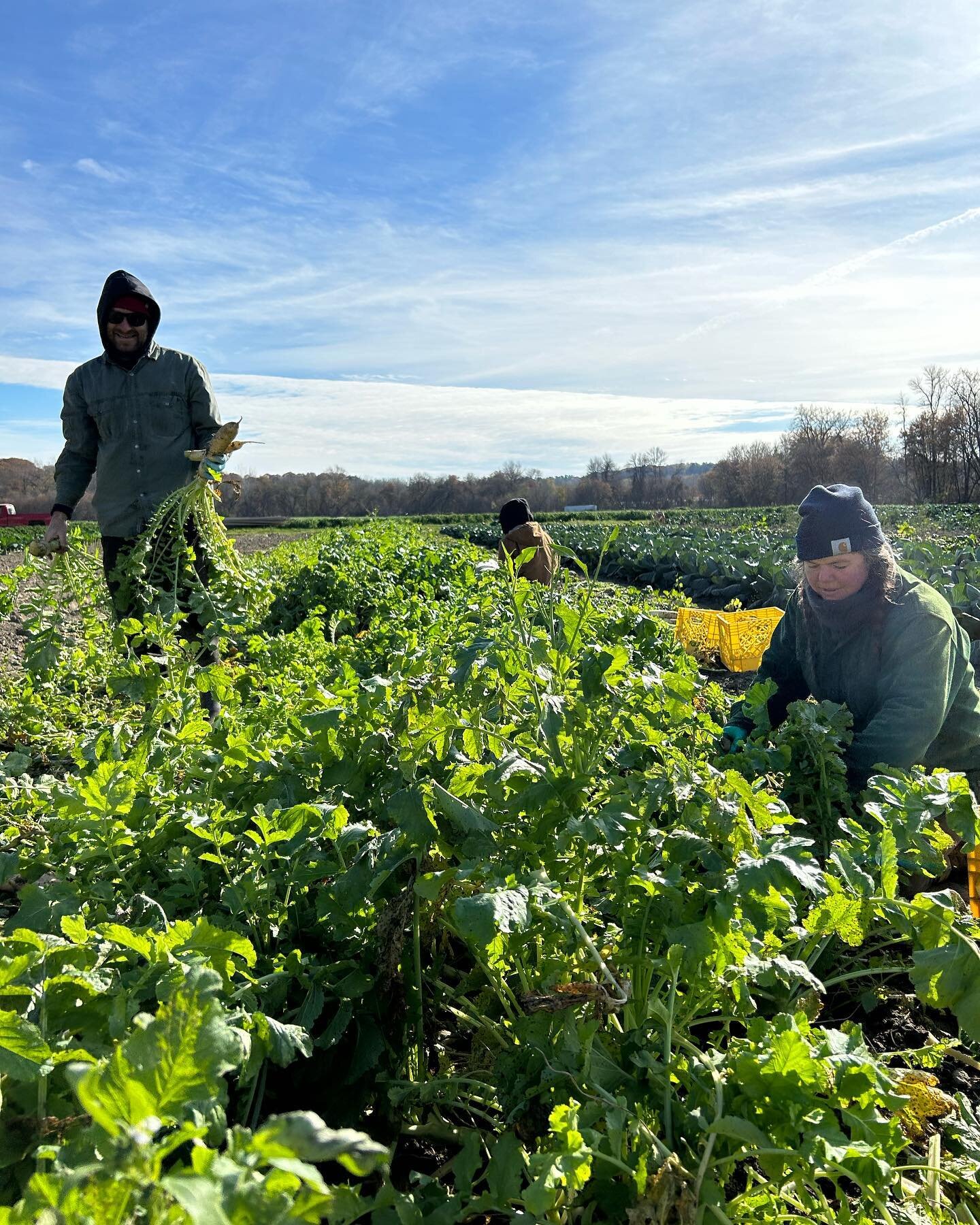 Intervale Community Farm