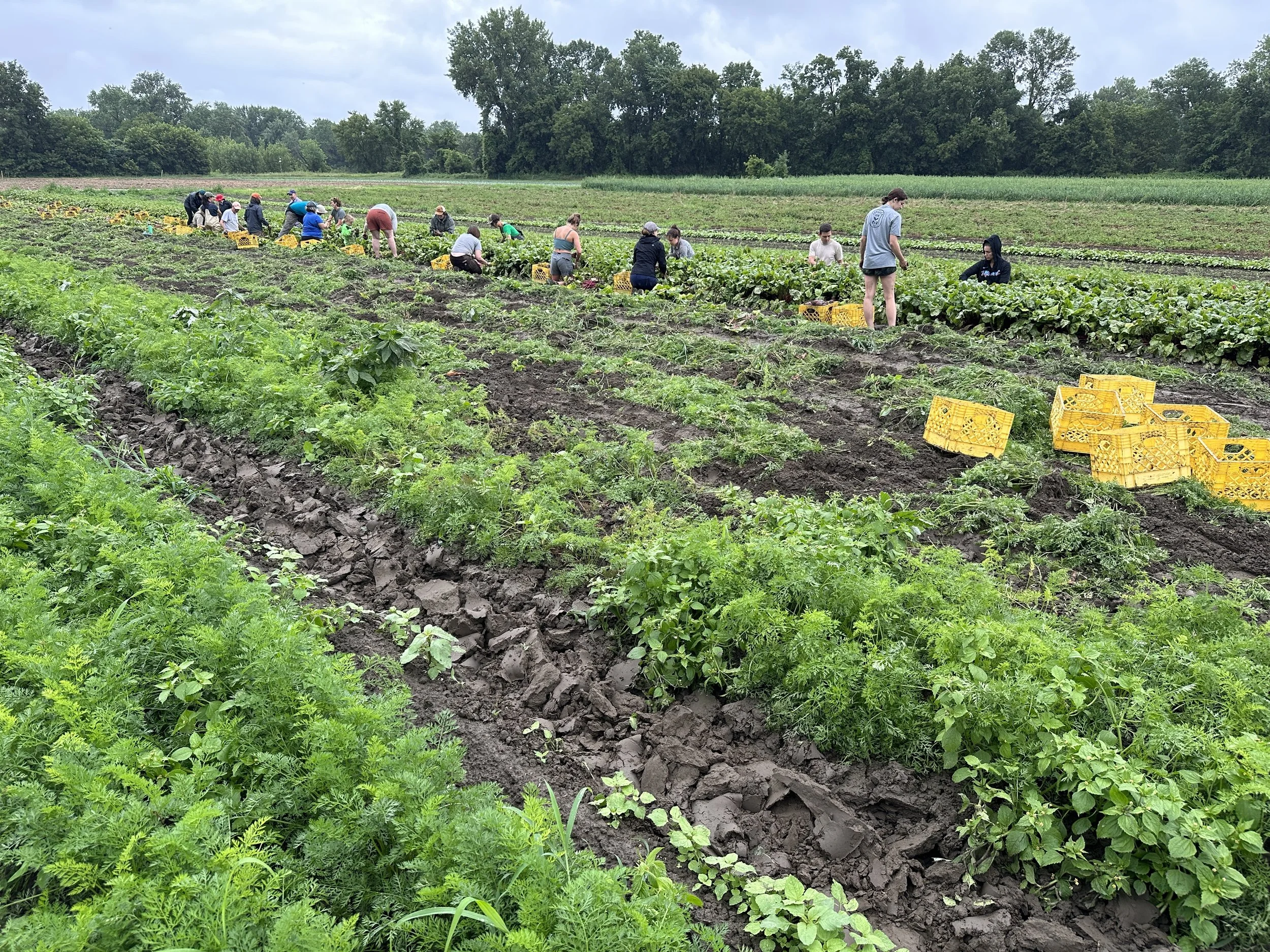 Intervale Community Farm