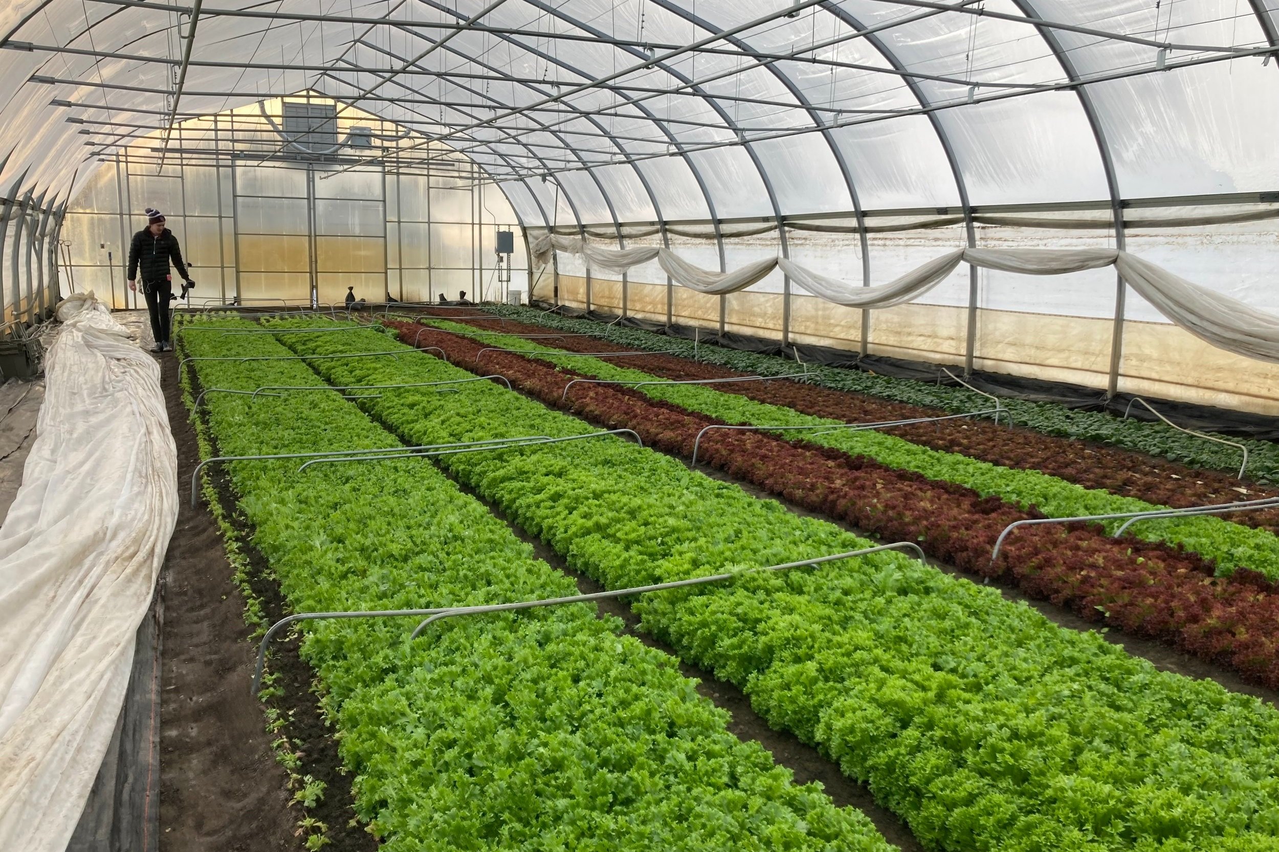 Intervale Community Farm