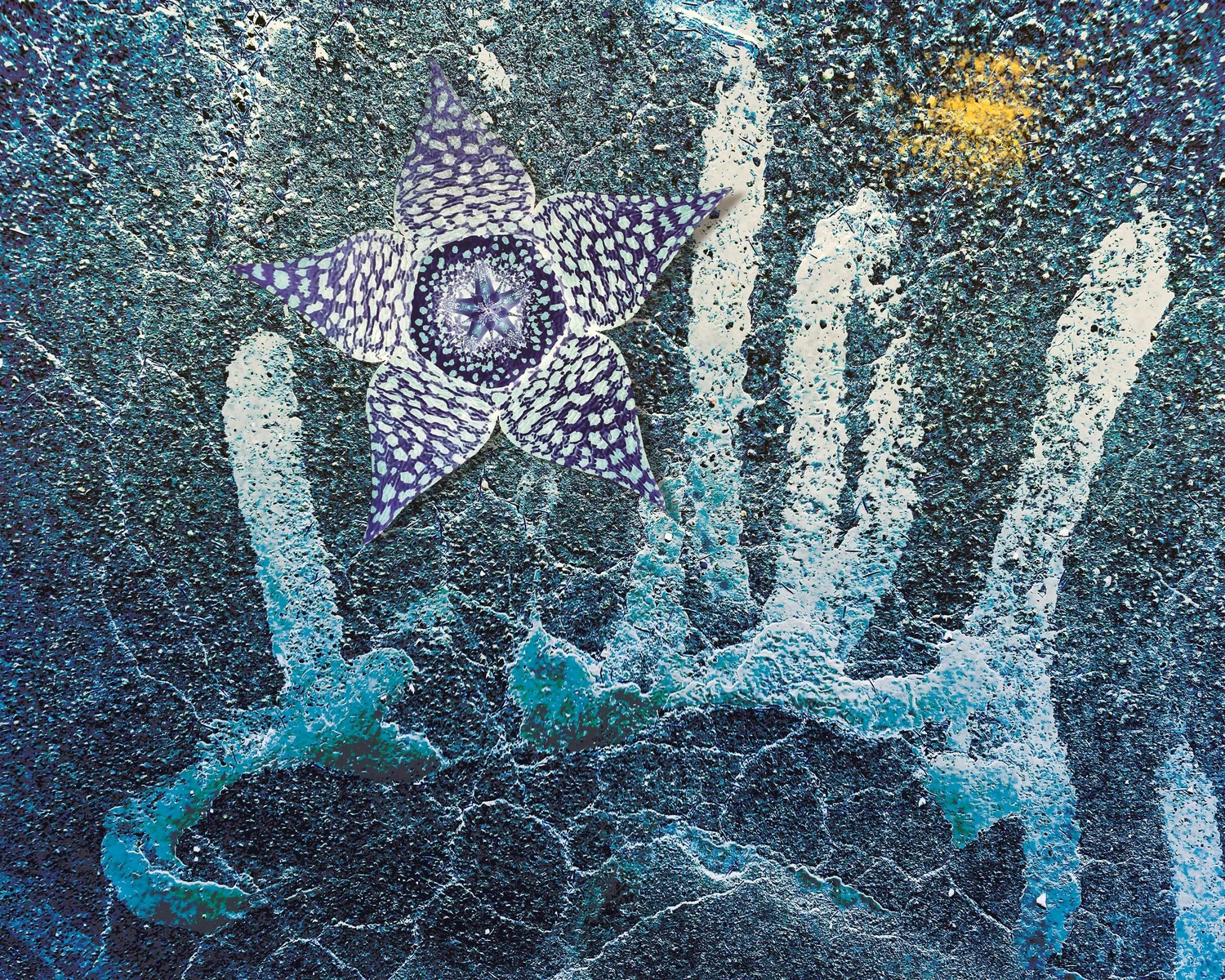 Members Show — A/NT Gallery