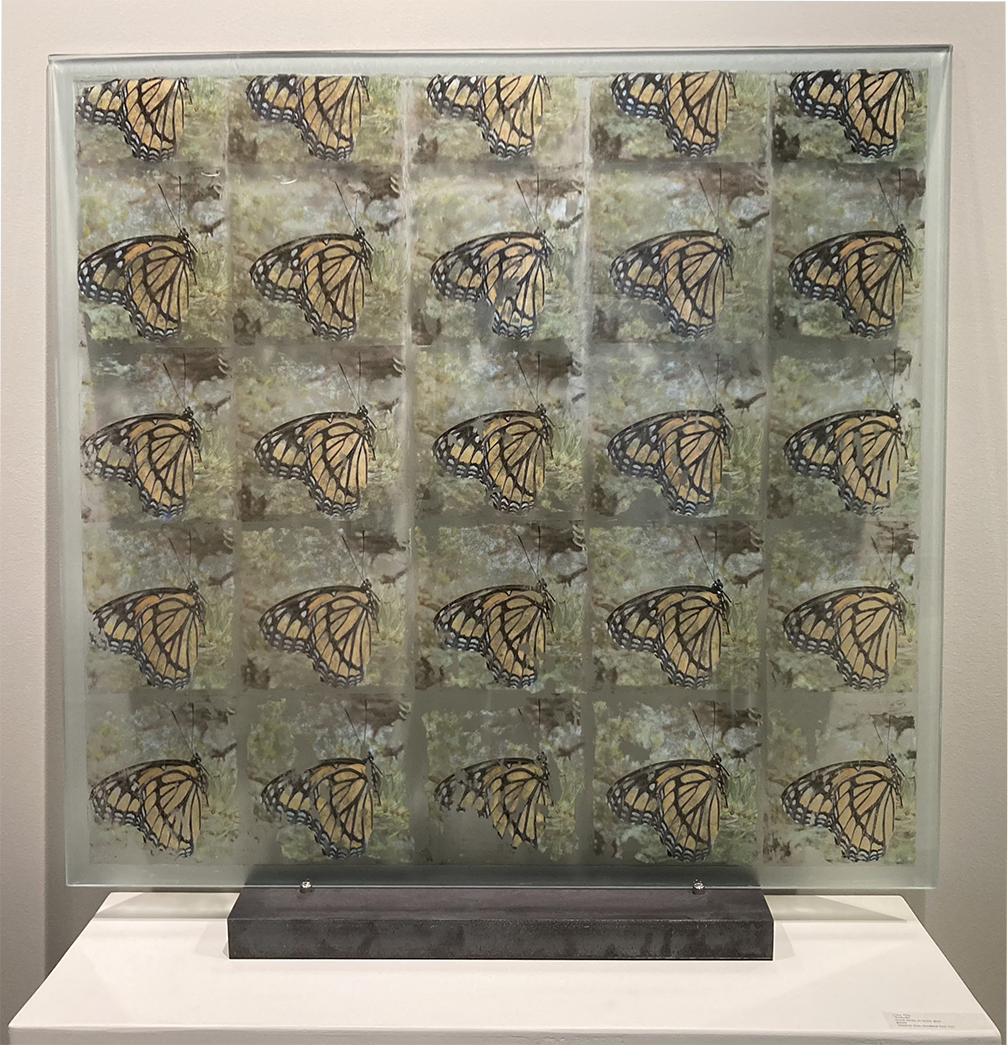 Special Exhibit — A/NT Gallery