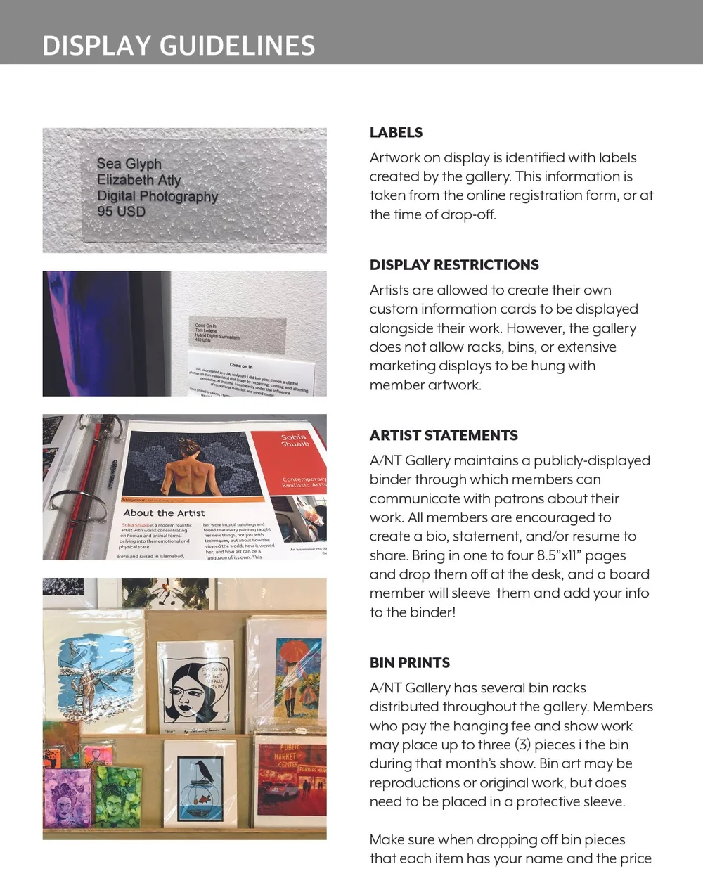 NEW MEMBERS HANDBOOK — A/NT Gallery