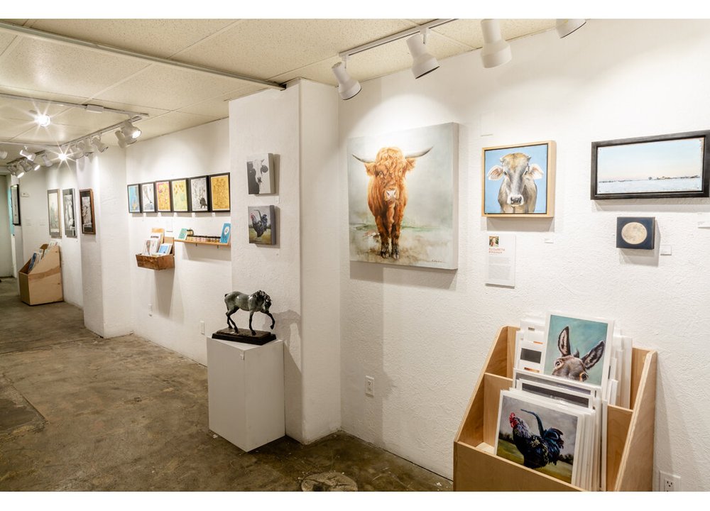 Art Gallery Design Ideas