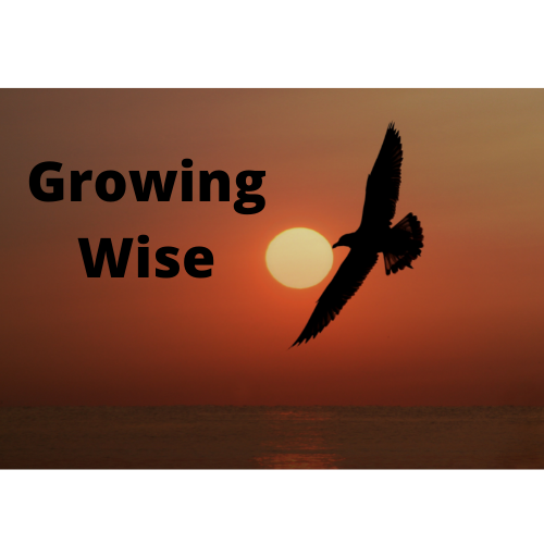 Wise Planning! — Cross Roads Church