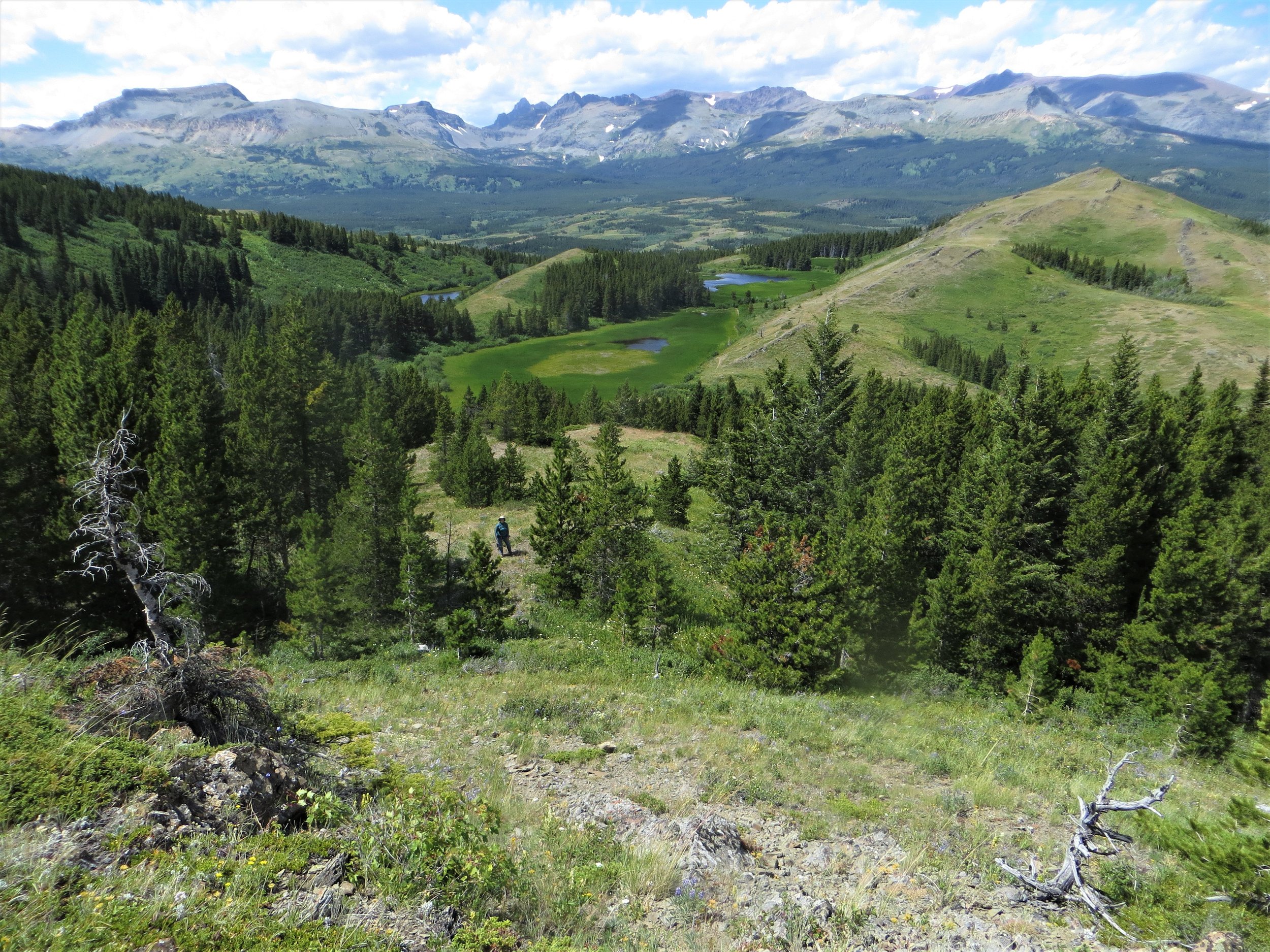 Donate to the Cause — Glacier-Two Medicine Alliance