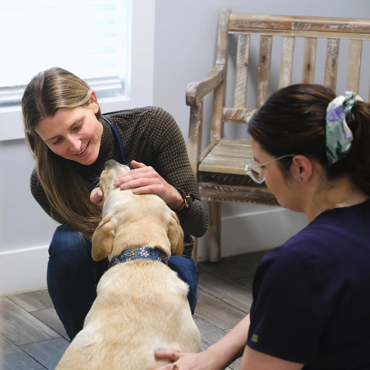 Services — Lowcountry Vets