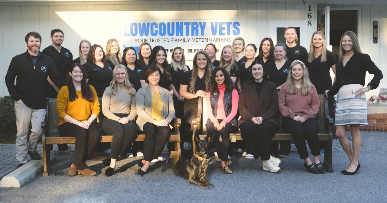 About — Lowcountry Vets