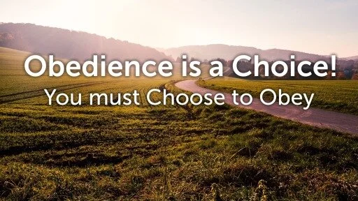 Does Your Fear Lead to Disobedience? — Balanced Living Body & Spirit
