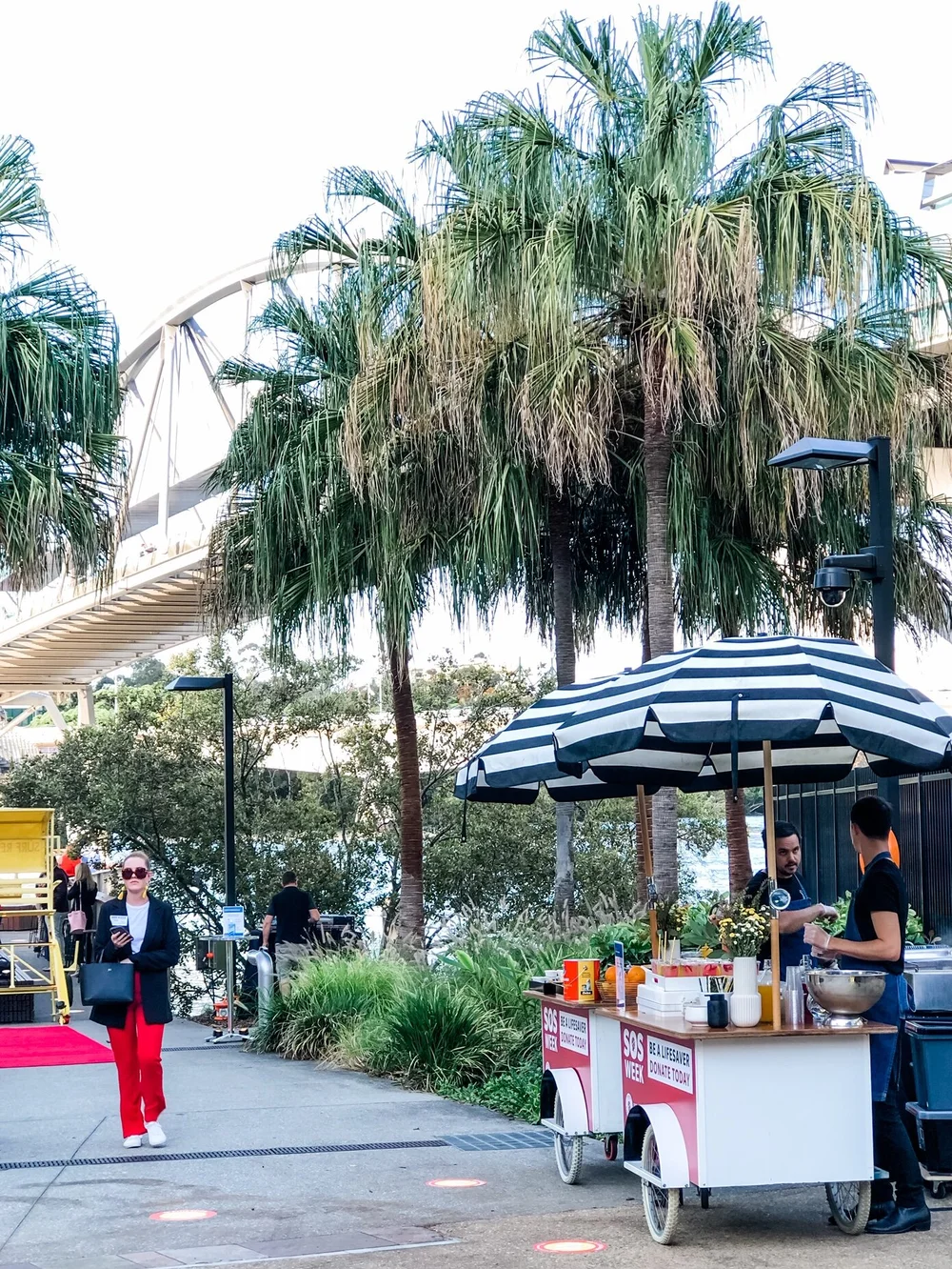 Juice Cart for Refreshing Drinks