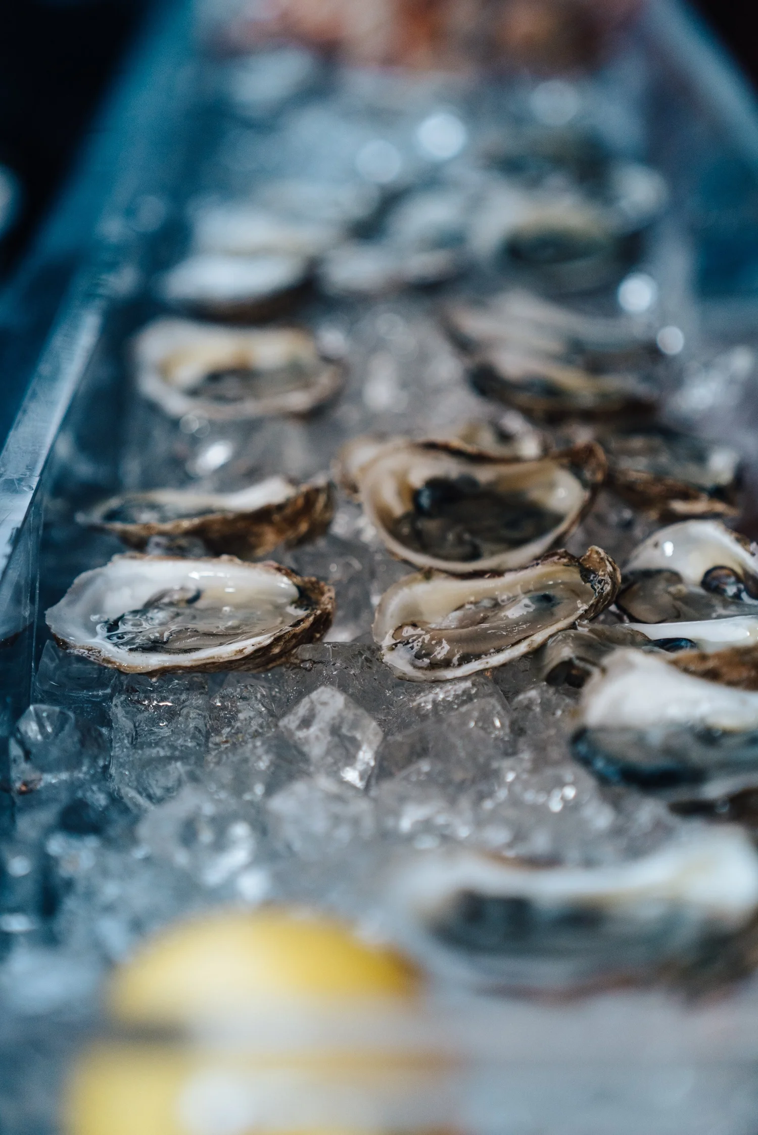 Mobile Oyster Shucker Bar Hire - Sydney | Brisbane | Melbourne