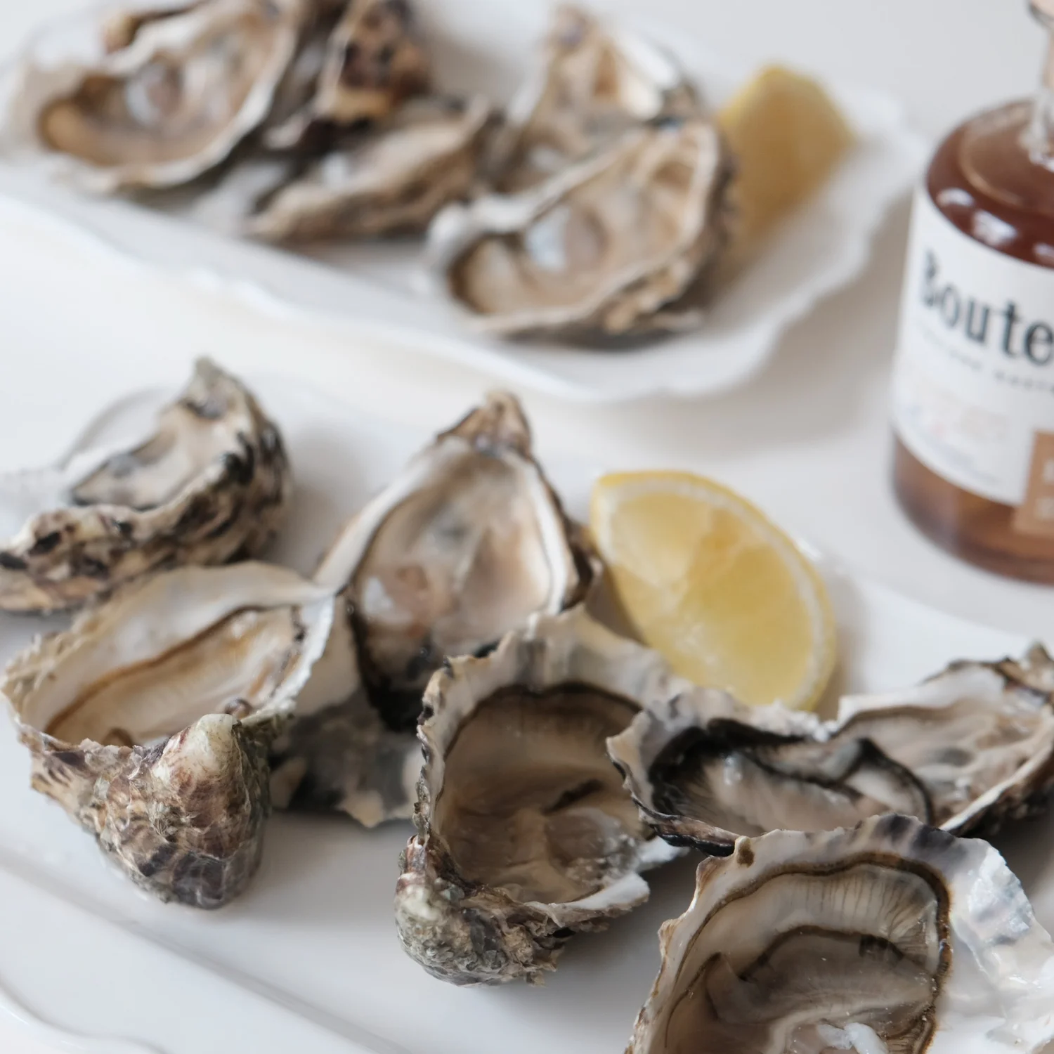 Mobile Oyster Shucker Bar Hire - Sydney | Brisbane | Melbourne