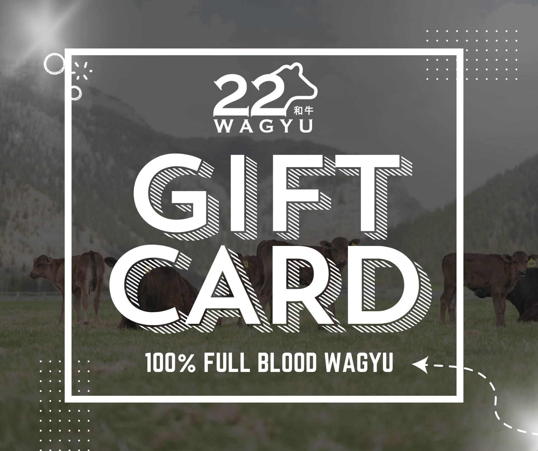 Wagyu Beef — 22 Wagyu