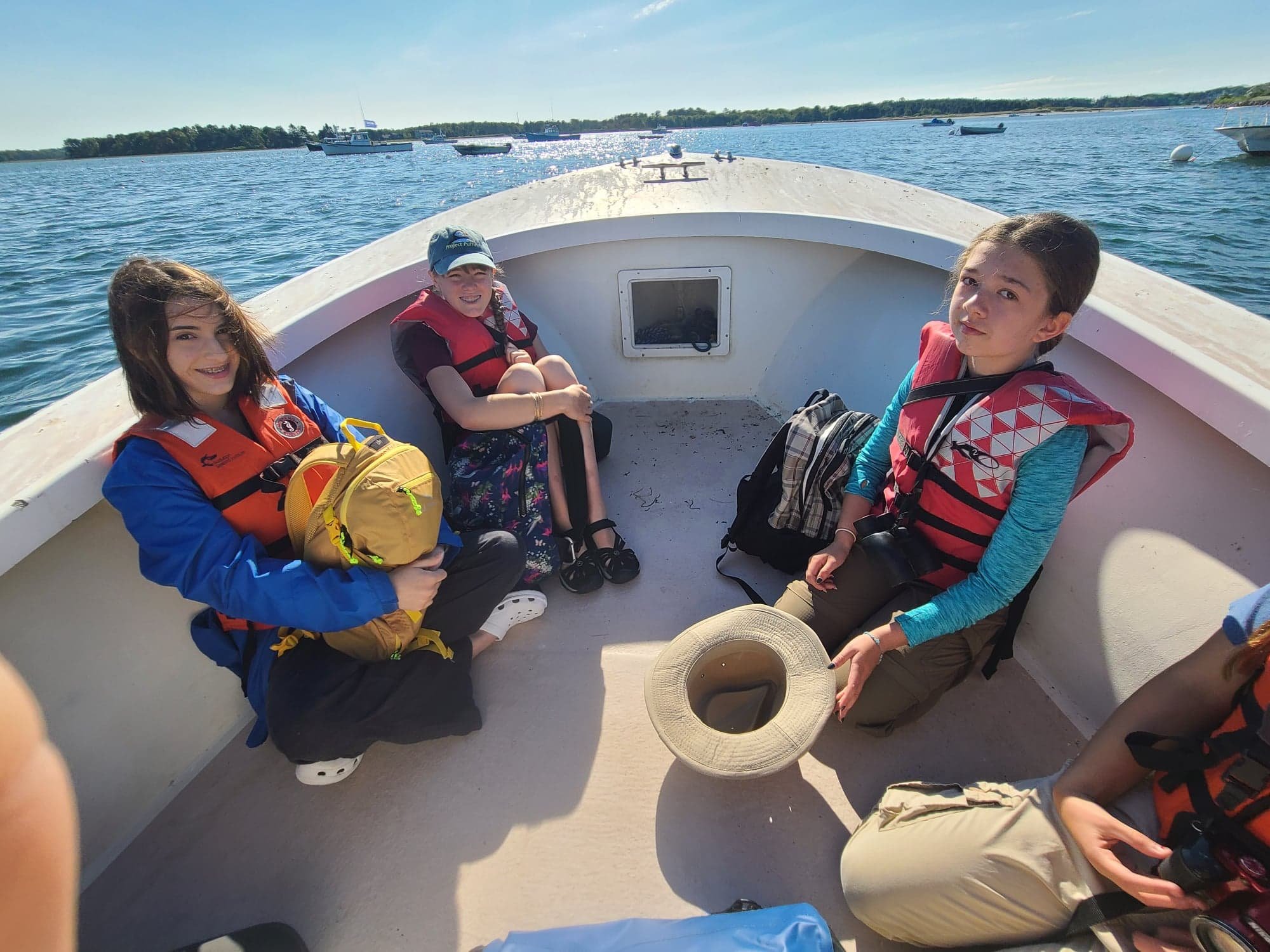 Stratton Island Trip Report - July 9, 2022 — Maine Young Birders Club