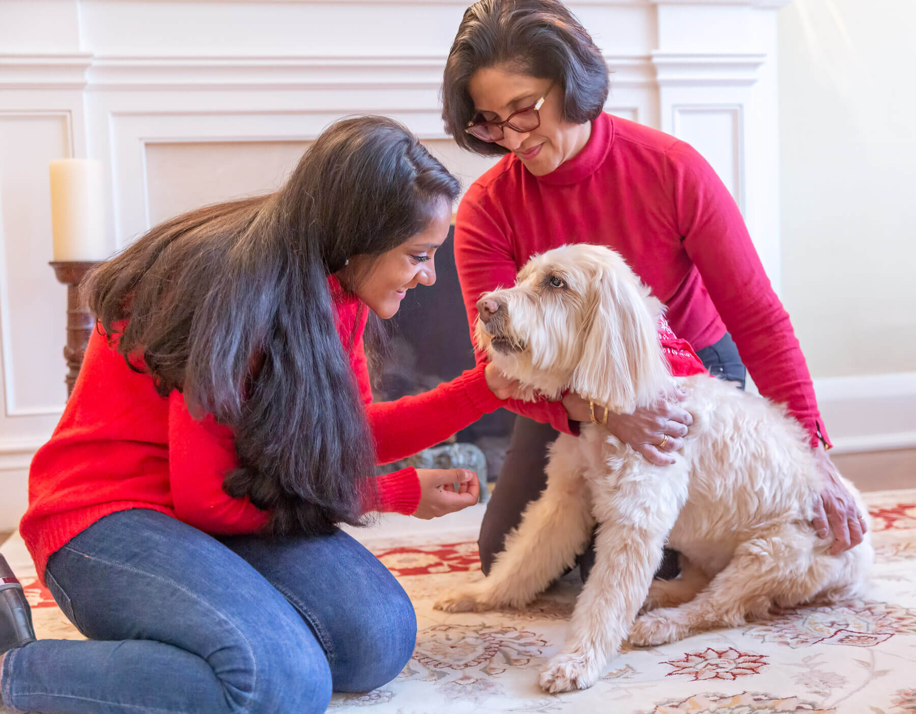 Bond between people and their dogs