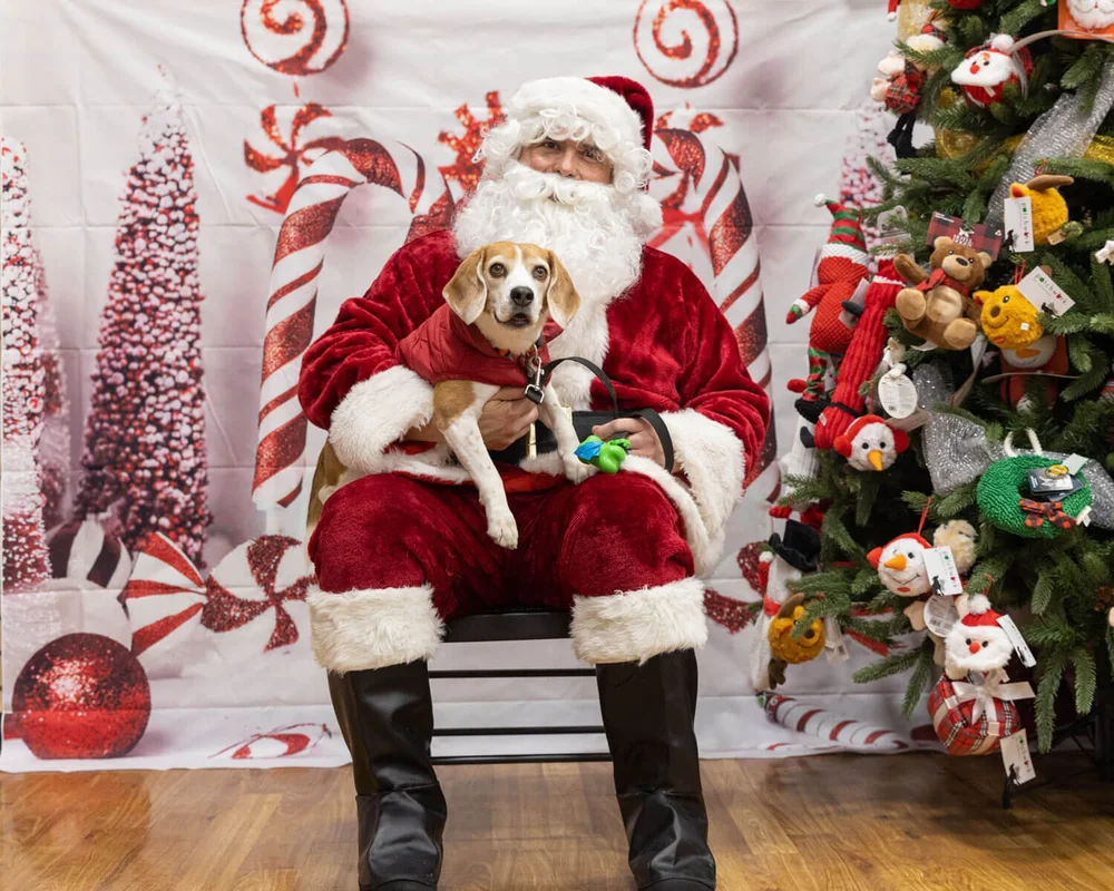 9 Tips for Pet Photos with Santa