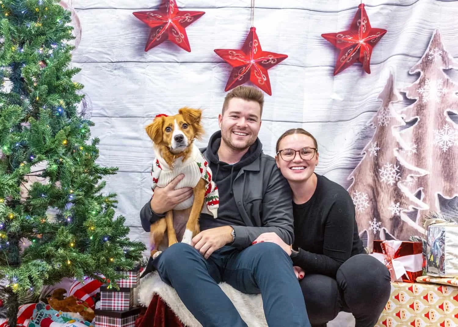 A Behind-the-Lens Look at Pet Christmas Sessions