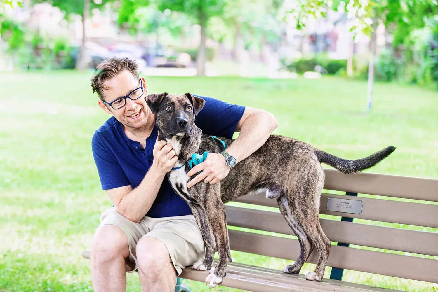 Become a Dog Foster Parent and Make a Difference