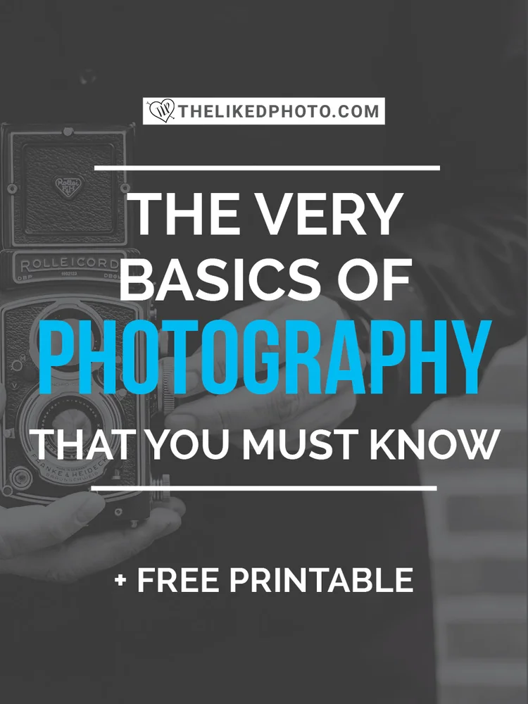 Basics of Photography that you Must Know to be Successful — Artist ...
