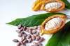 Sustainable Innovations in the Chocolate Industry — Branchfood