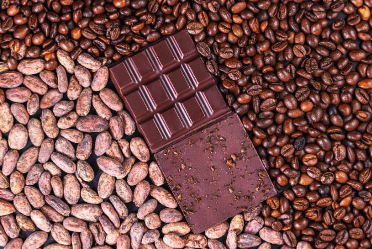 Sustainable Innovations in the Chocolate Industry — Branchfood