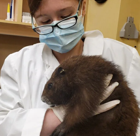 OUR TEAM — Cascades Carnivore Project