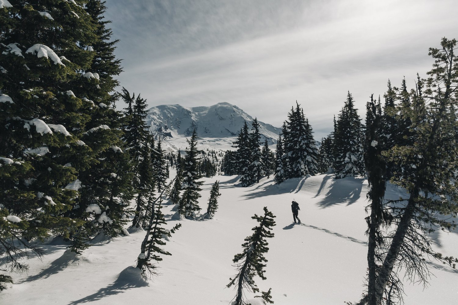 Cascades Carnivore Project