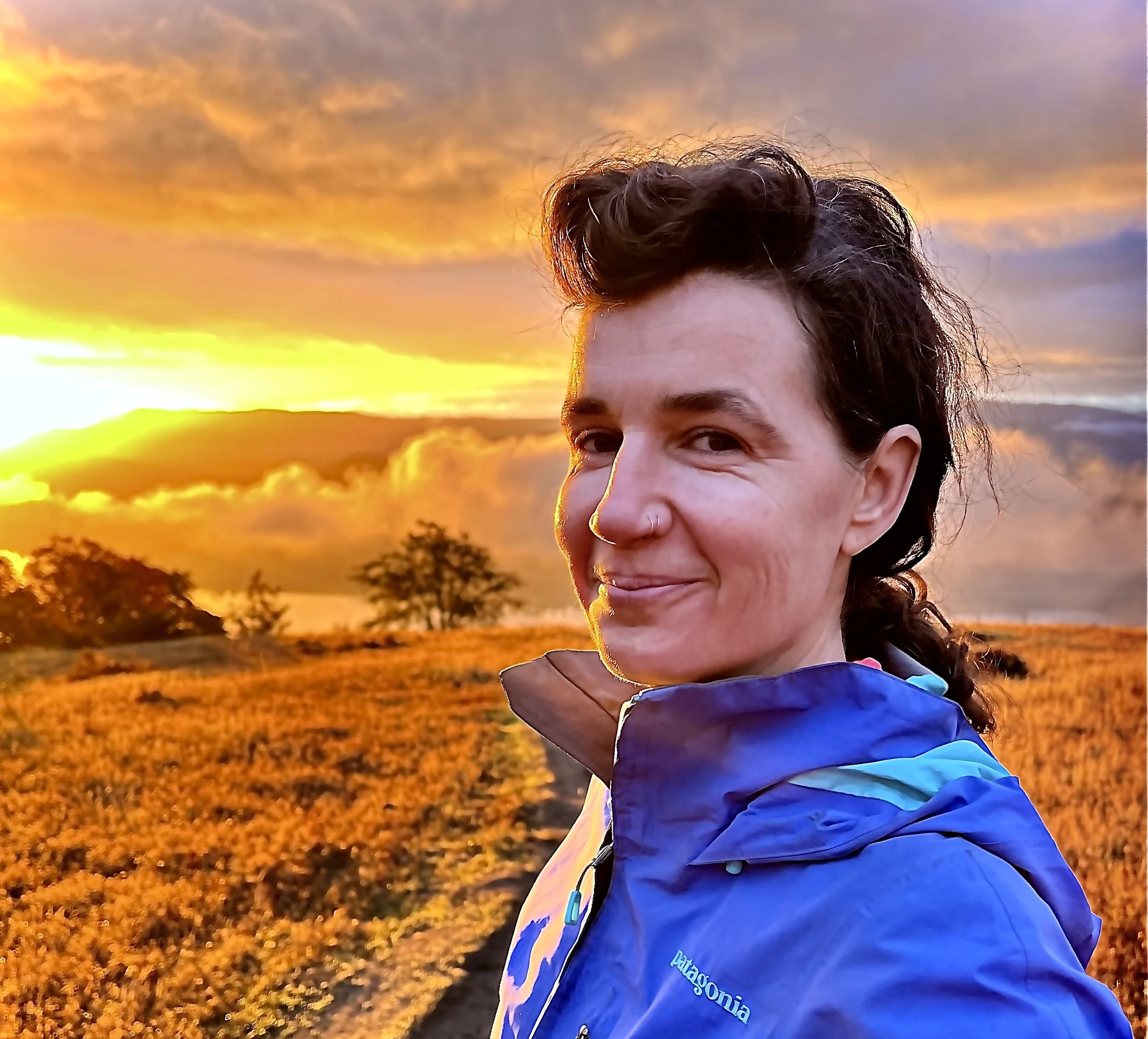 Board — Cascades Carnivore Project