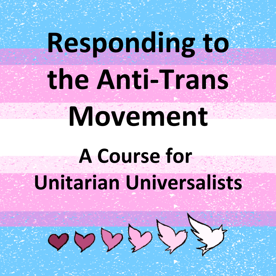 Online Programs — Transforming Hearts Collective