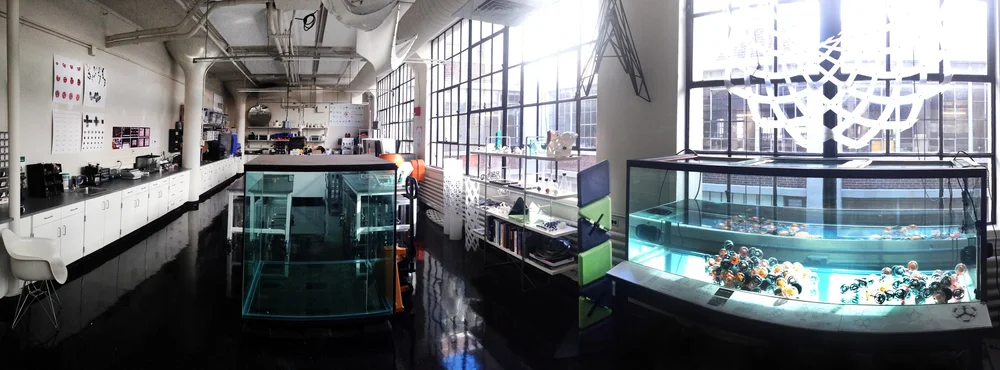 Lab & Team — Self-Assembly Lab