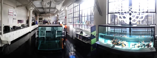 Lab & Team — Self-Assembly Lab