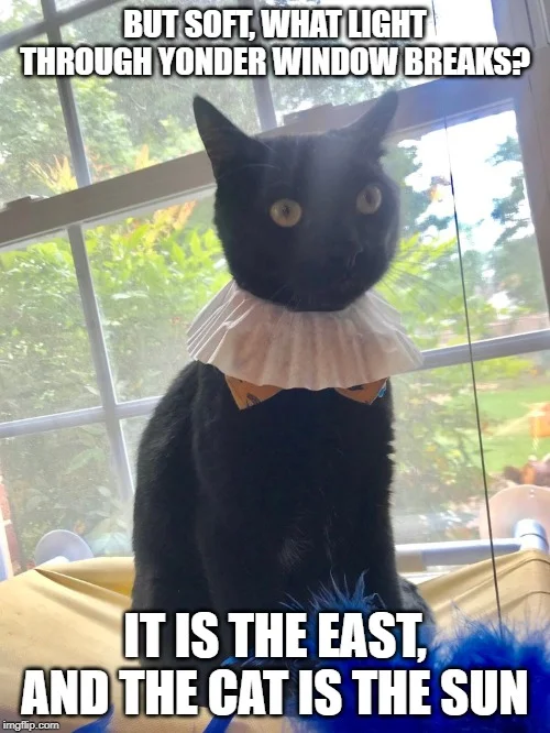 Elizabethan Ruffs for Shakespeare Cats - Out of Coffee Filters ...