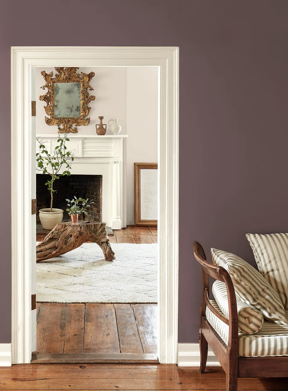 Embrace Comfort: Benjamin Moore's 2025 Color of the Year - Cinnamon ...